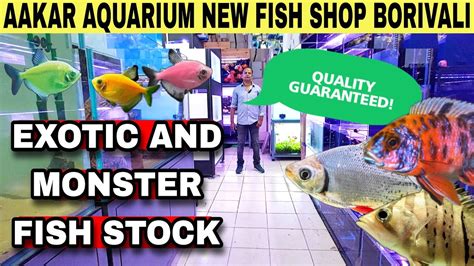 Rare Exotic Fish