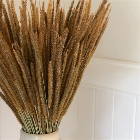 Dried Kirin Grass Stems X 10 Pcs Natural Au