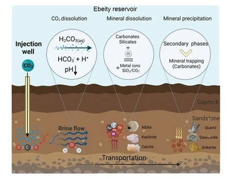 Reactive Transport Modeling And Sensitivity Analysis Of Co2rockbrine Interactions At Ebeity