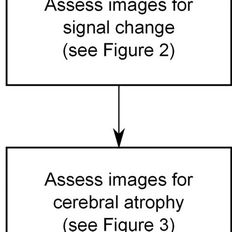 Algorithmic Assessment Of Mri In Dementia Download Scientific Diagram