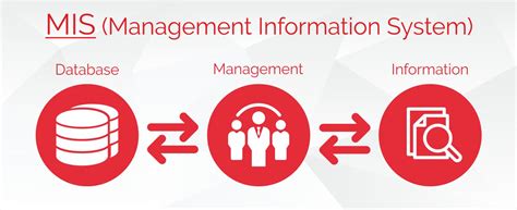 Management Information System Development Right InfoService Ahmedabad