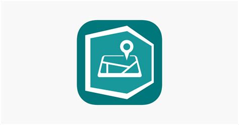 App Store 上的VertiGIS Studio Go