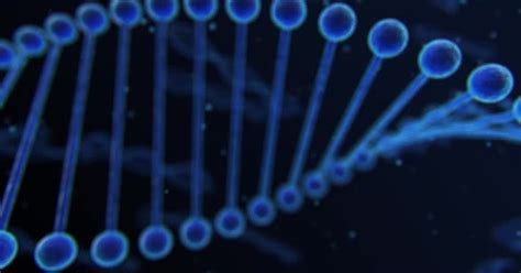 Seamless Looping Animation Of Rotating Dna Strands Backgrounds Motion Graphics Ft Dna