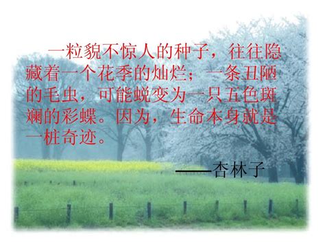 人教新课标版小学四下《生命生命》ppt课件1word文档免费下载亿佰文档网