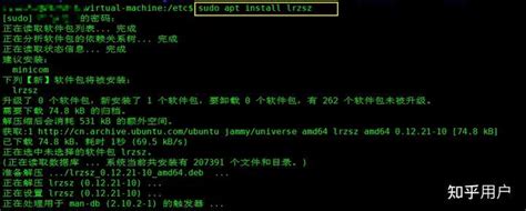 怎么把windows上的文本复制到linux里面？每次复制都失败？ 知乎