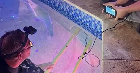 호텔 수영장 파이프 안에서 숨진 채 발견된 8살배기 소녀