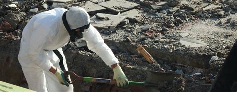 Lead Abatement Services Orourke