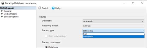 Creación De Respaldos En Sql Server Express Base De Datos