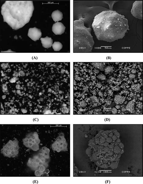 Morphological Features Of The Core Shell Polymer Supports A Optical Download Scientific