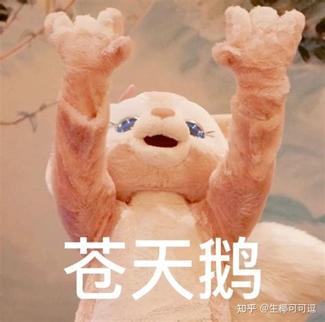 Bda、cda、cpda别什么都不懂就去考数据分析师！ 知乎