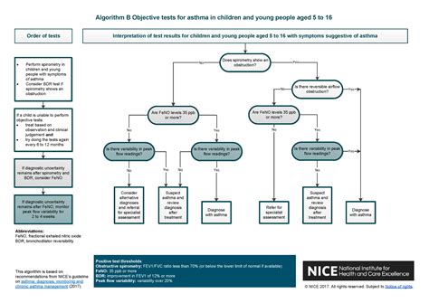 Niceguidelines Algorithm B 2 Bedfont Nobreath® Feno Monitor
