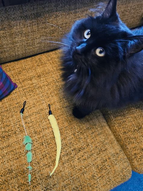 Muffy And Her Worms Rwellworn
