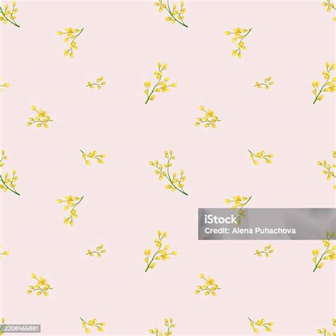 베이지 색 배경에 봄 꽃과 완벽 한 패턴 수채화 미모사 봄 어머니의 날 부활절 여성의 날 생일 카드 포스터 포장지 벽지의 배경 National Womens Day에 대한