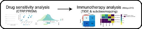 Figure 1 From Development And Validation Of A Dna Methylation Related