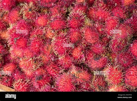 Lychees At A Costa Rican Market Stall Stock Photo Alamy