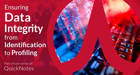 Ensuring Data Integrity From Identification To Profiling