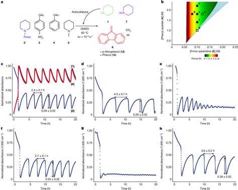 Sustained Oscillations Under Out Of Equilibrium Conditions In Flow