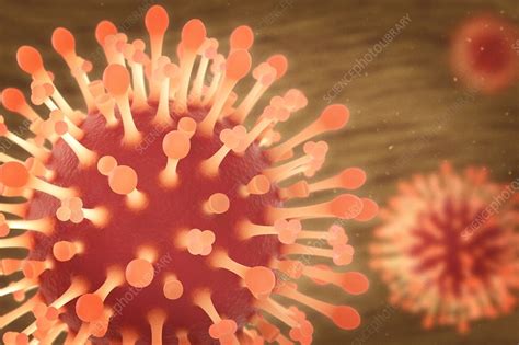 Flu Virus Particles Artwork Stock Image F0083251 Science Photo