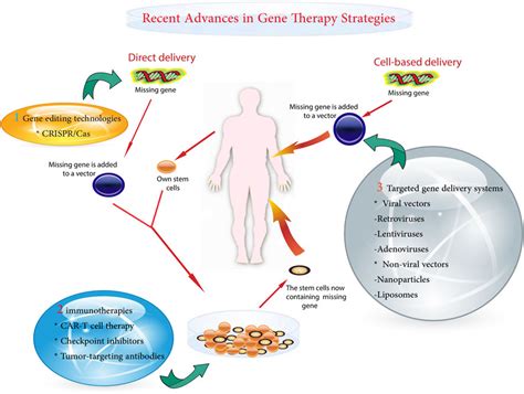 Cancer Gene Therapy Recent Advances In Gene Therapy For Cancer