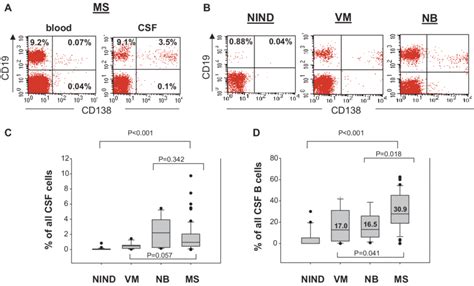 csf b cell subsets in neurological diseases a stratification of csf