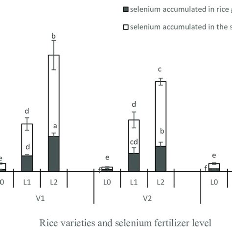 Selenium Accumulation Of Different Rice Varieties And Straw Under
