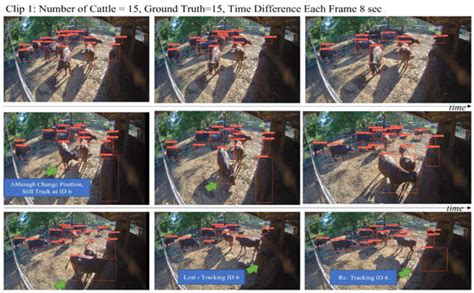 Comparing State Of The Art Deep Learning Algorithms For The Automated Detection And Tracking Of