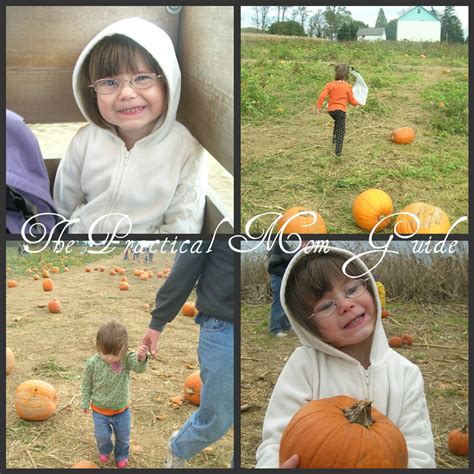 The Practical Mom Guide 2011