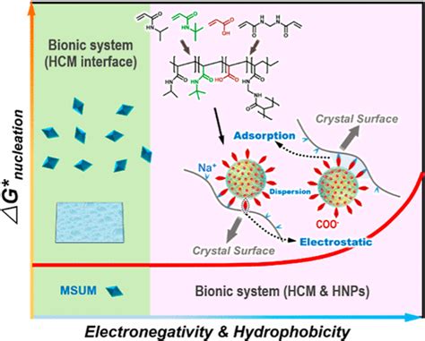 Hydrogel Nanoparticles Enable Nucleation Barrier Regulation And Ion