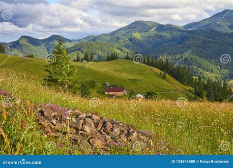 Mountain Summer Landscape With Wooded Green Hills Beautiful Sunny