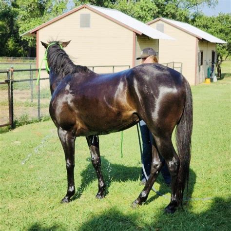 Addy ♤⚡︎ Addysonscranton Snapchat Stories Spotlight And Lenses