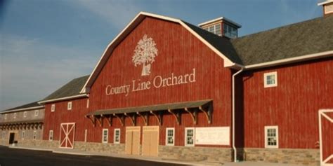 Corn Maze At County Line Orchard Panoramanow Entertainment News