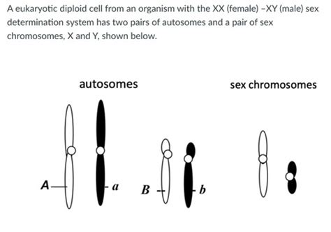 AGR 3303 Lecture 18 Flashcards Quizlet