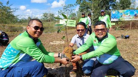 Dlh Dan Pt Timah Tanam Pohon Di Lahan Bekas Tambang
