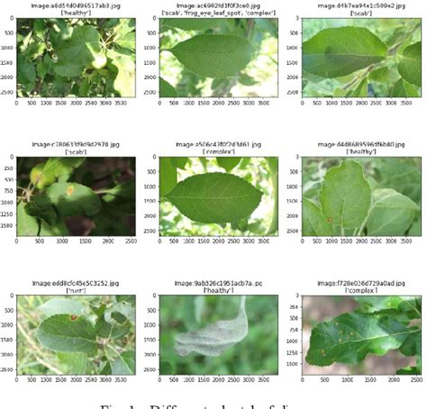 Figure 1 From Plant Disease Detection Using ResNet Semantic Scholar