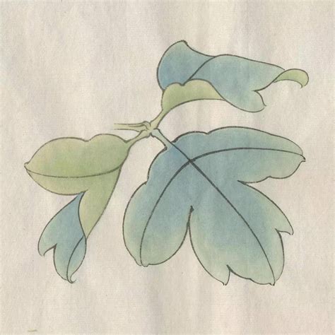 工笔画牡丹花房、花蕊、叶子、枝干的画法及设色 搜狐大视野 搜狐新闻