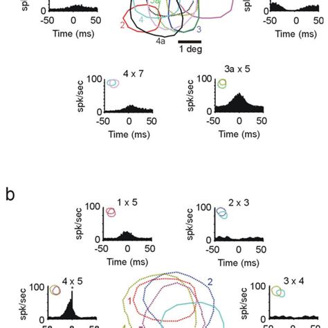 Receptive Fields And Correlograms Obtained In Two Separate Simultaneous