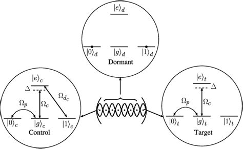 Figure 1 From Cavity Mediated Long Range Interaction For Fast