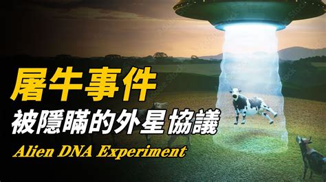 美國上空惊現神秘ufo！當地居民目睹上千頭牛被一夜消失！ Fbi拒絕調查，竟是羅斯維爾事件背後的協議？ 腦補大轟炸 Youtube