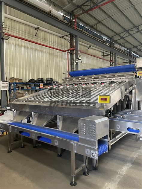 High Automation Shrimp Sorting Machine Prawn Sorting Machine Shrimp