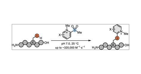 Ultra Rapid Electrophilic Cysteine Arylation Journal Of The American
