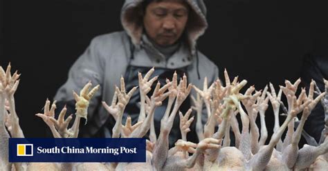 China Reports Second Fatal Case Of Bird Flu This Year In Guizhou