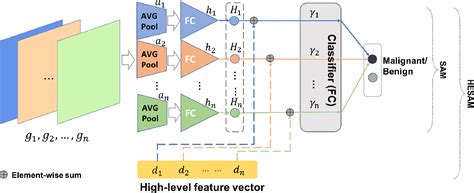 Figure 2 From Shape And Margin Aware Lung Nodule Classification In Low Dose Ct Images Via Soft