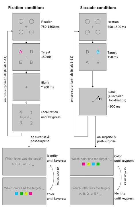 Procedure For Experiment 1 In The Fixation And Saccade Conditions Download Scientific Diagram