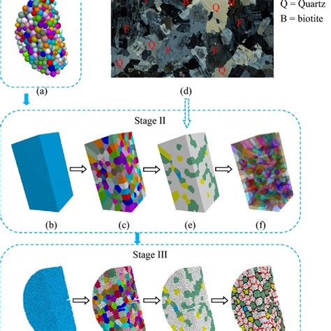 flow chart of the generation of the pfc3d gbm a initial particle based