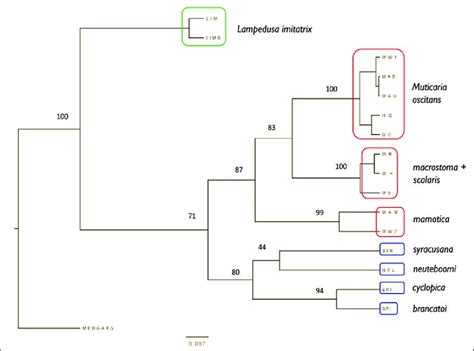 Phylogenetic Reconstruction By Bayesian Inference Obtained By Combined