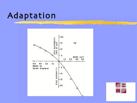 Prism Adaptation Ppt