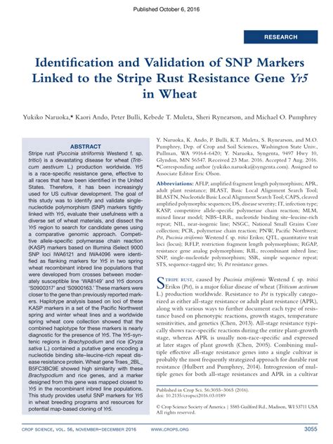 Pdf Identification And Validation Of Snp Markers Linked To The Stripe Rust Resistance Gene Yr5