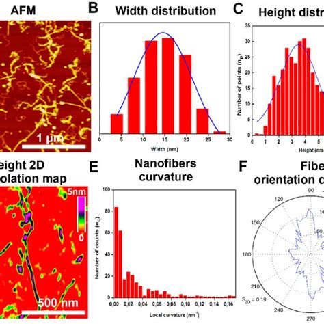 Supramolecular Organizations Of Assembled Peptide Nanostructures A Download Scientific