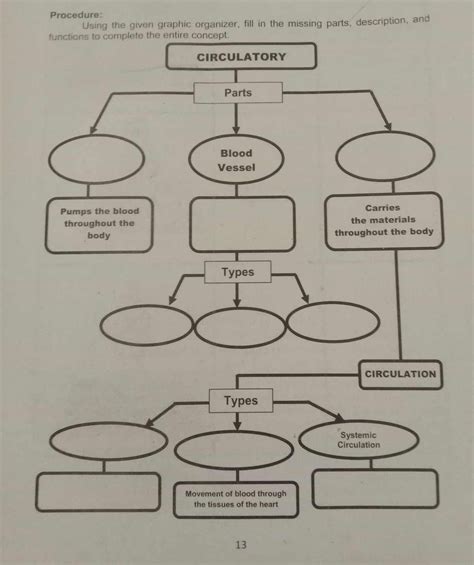 Solved Procedure Using The Given Graphic Organizer Fill In The Missing Parts Description
