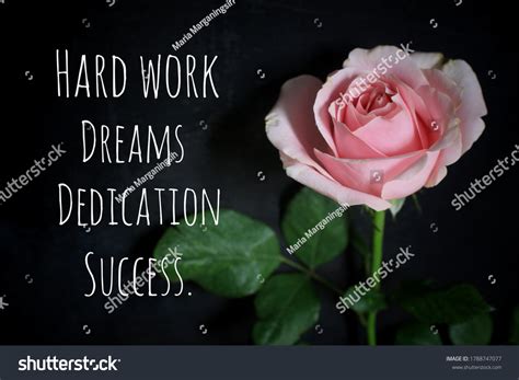 Hard Work And Dedication Quotes